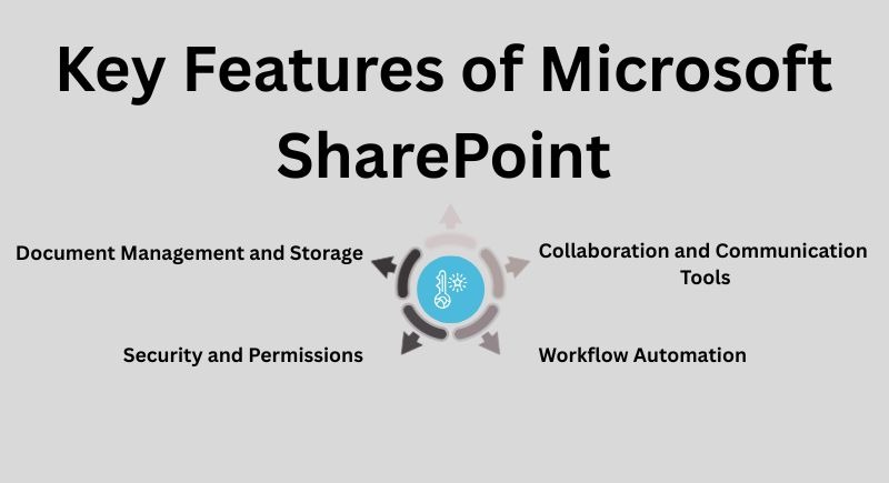 What is Microsoft SharePoint? A Complete Guide for Businesses